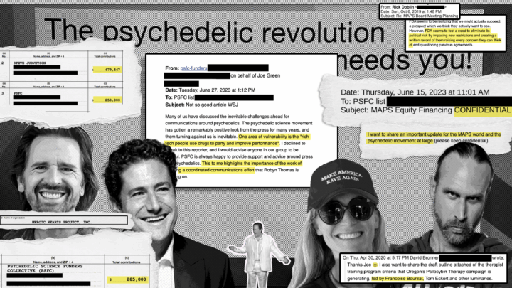 The Psychedelic Syndicate: Executive Summary